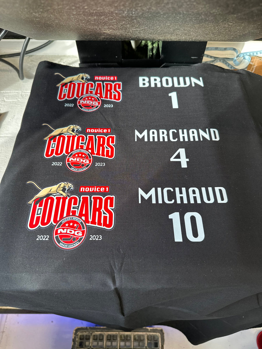 DTF: (Complete Direct to Film Step by Step Guide!) – DTFX